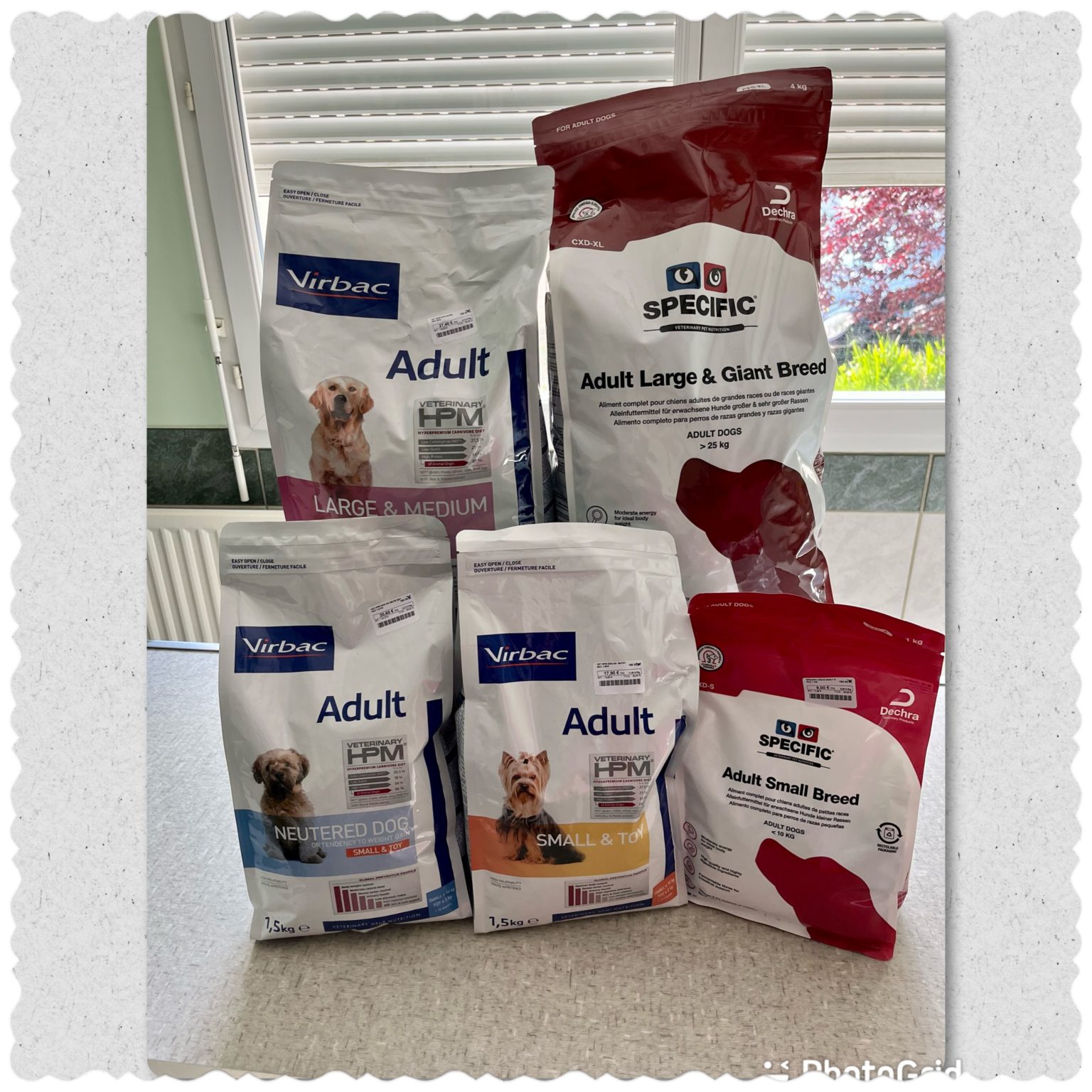 Croquettes riches en protéines et sans céréales... ce qu'il faut savoir ...